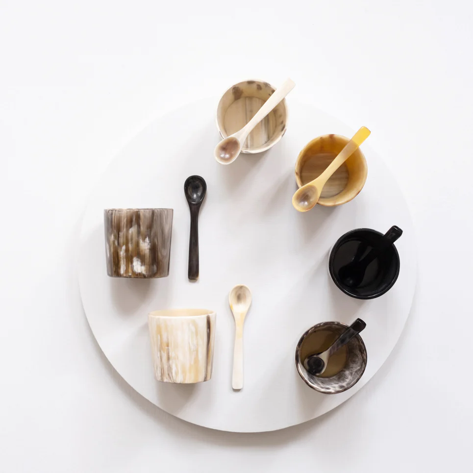 Ankole Horn Salt Cellar + Spoon Set – Abroad Modern